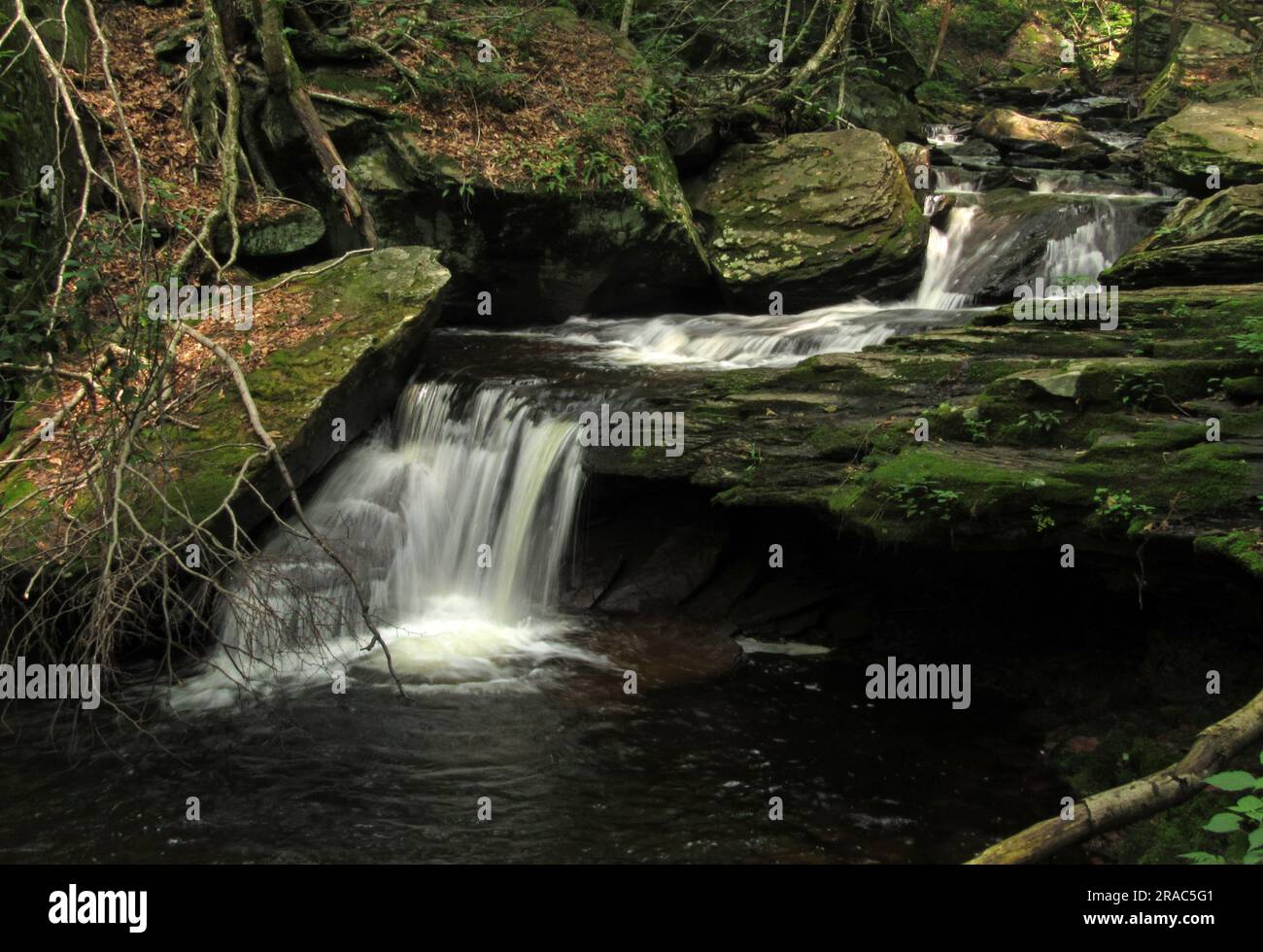 Kitchen Creek spills over small cascades in Ricketts Glen State Park in ...