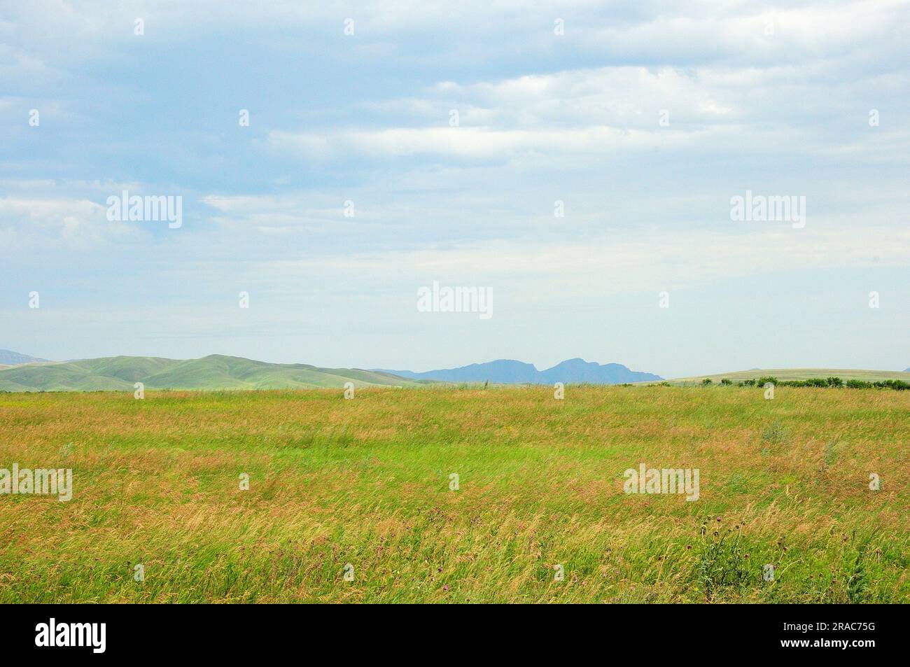 Boundless steppe hi-res stock photography and images - Alamy