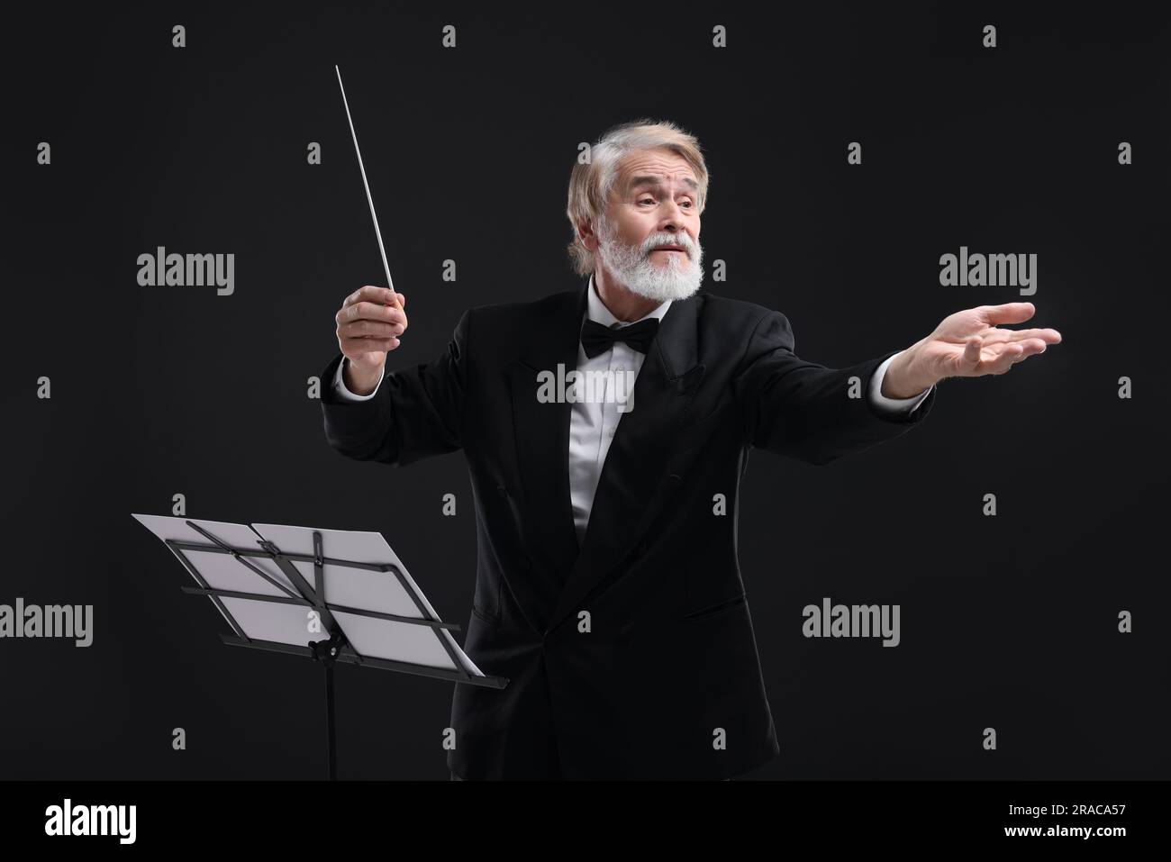 Professional conductor with baton and note stand on black background ...