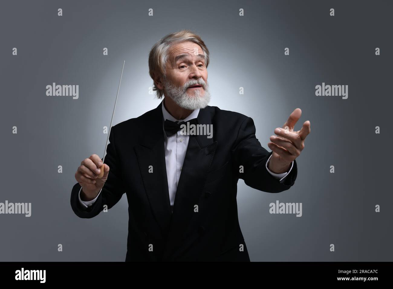 Professional master in grey hi-res stock photography and images - Alamy
