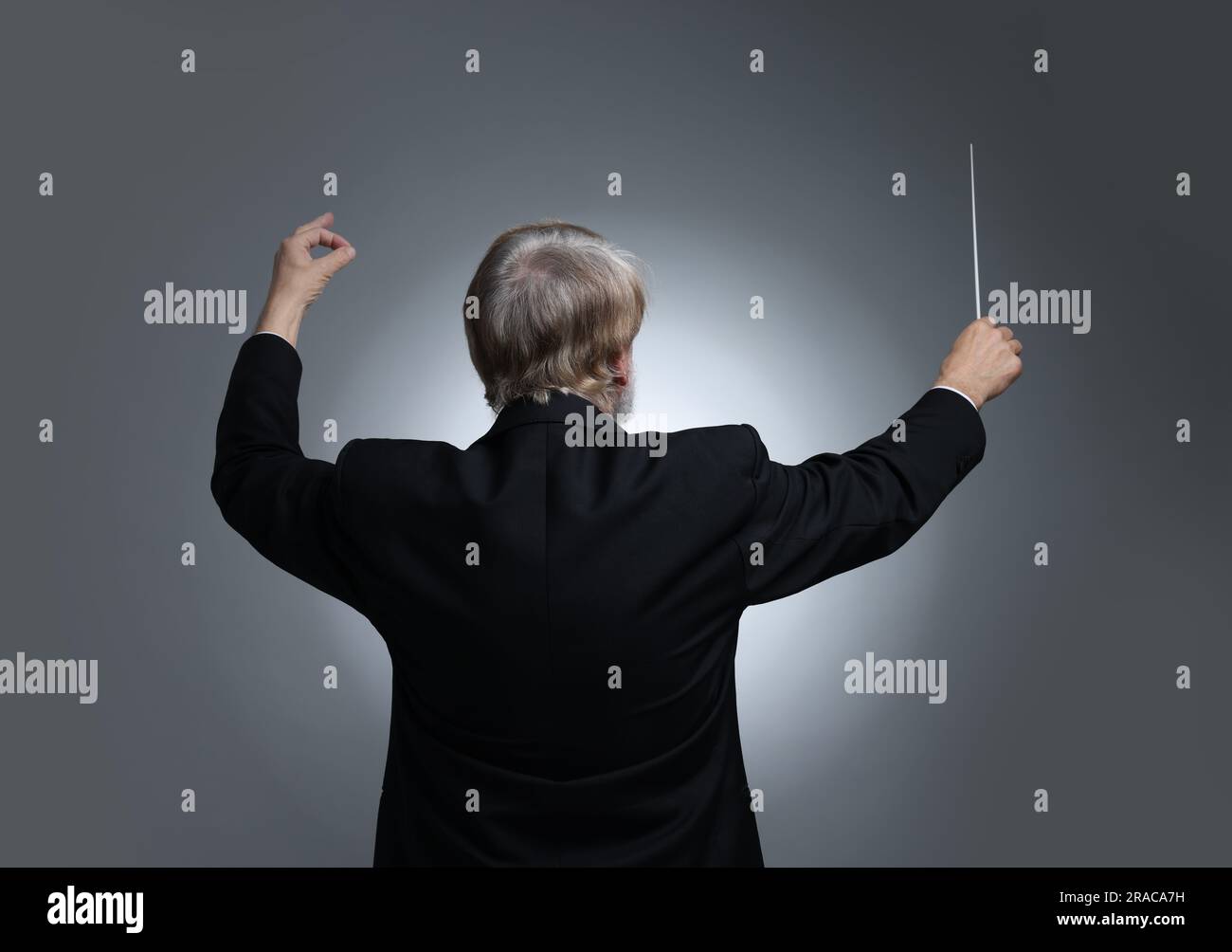 Professional conductor with baton on grey background, back view Stock ...