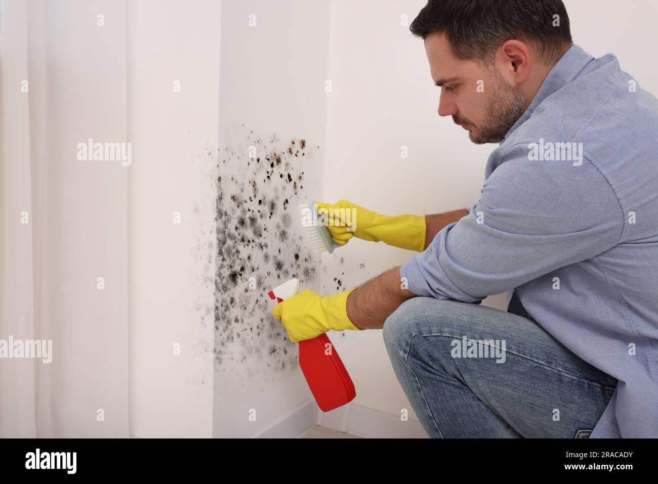 Man in rubber gloves using mold remover and brush on walls in room ...