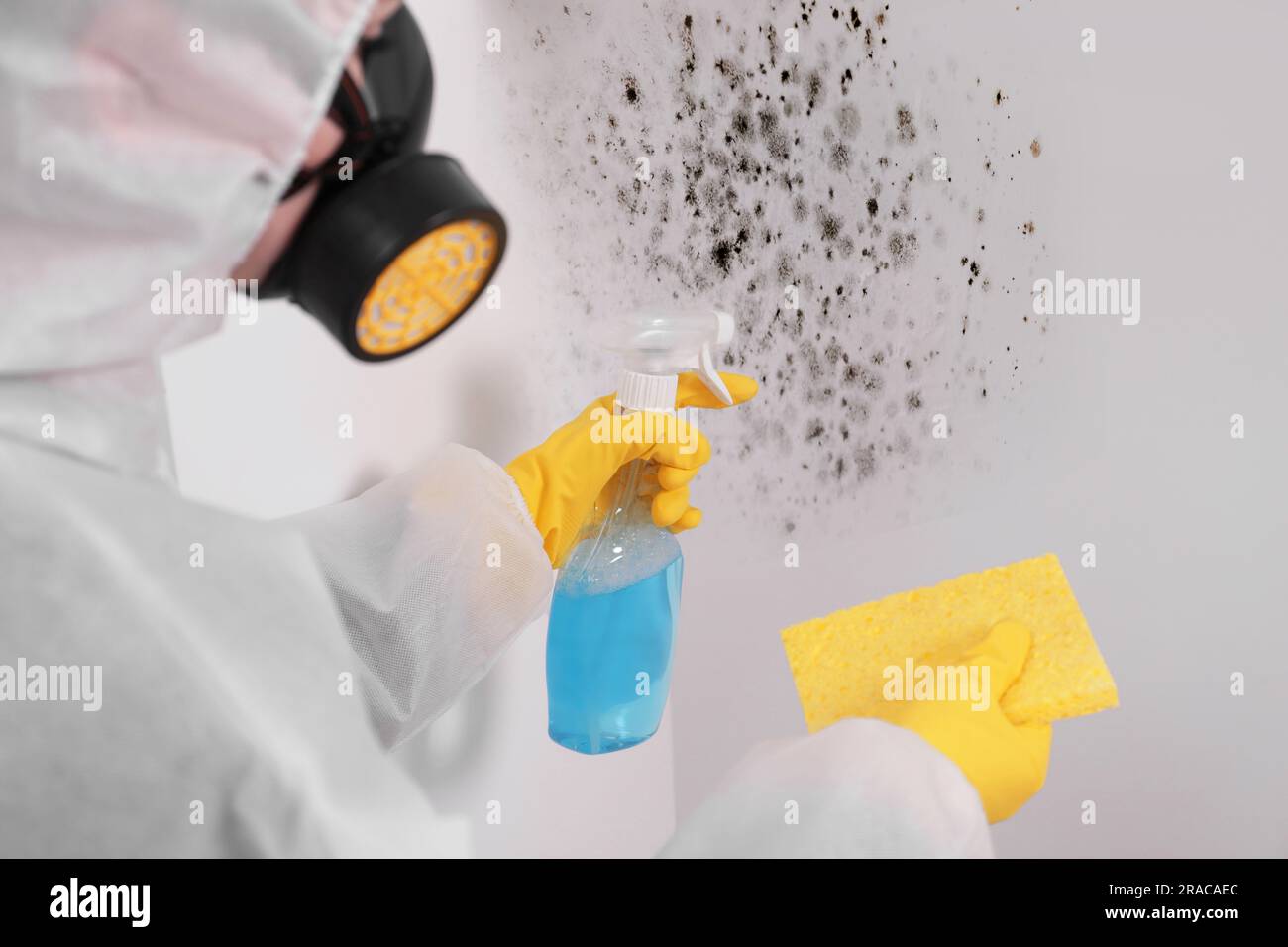 Woman in protective suit and rubber gloves using mold remover and rag ...