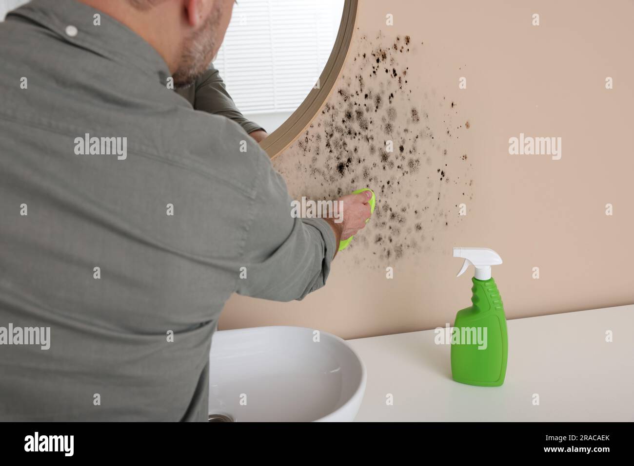 Man using mold remover and brush on wall in bathroom Stock Photo - Alamy