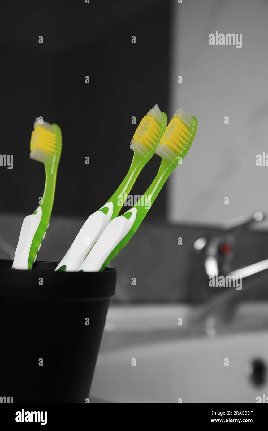 Light green toothbrushes in black toothbrush holder indoors Stock Photo ...