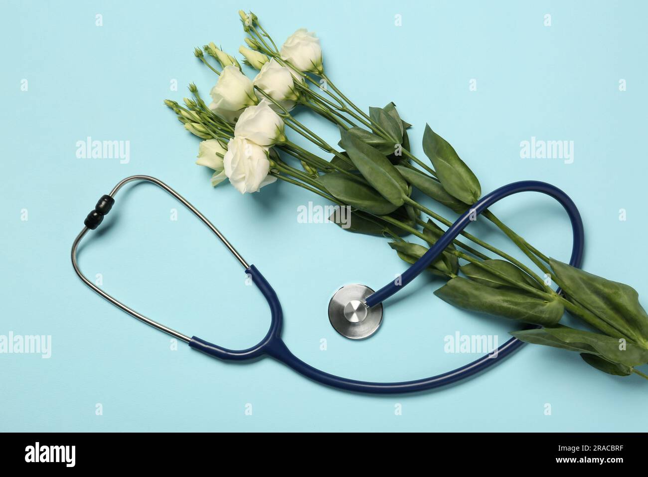 Stethoscope and beautiful eustoma flowers on light blue background ...
