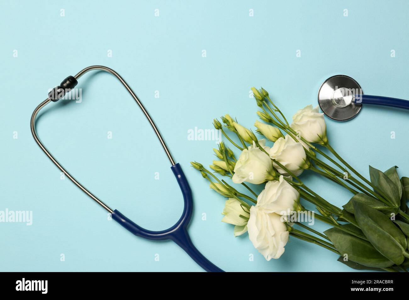 Stethoscope and beautiful eustoma flowers on light blue background ...