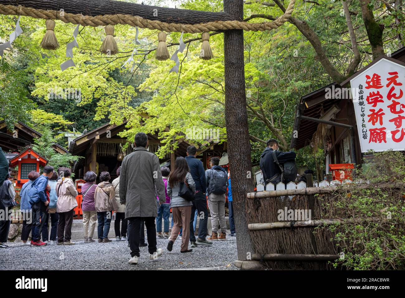 Kyoto,Japan,2023. Nonomiya Jinja shrine on the Sagano walking path in the bamboo grove ...