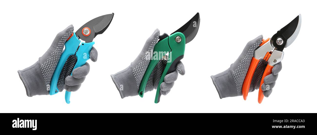 Collage with photos of men holding different color secateurs on white background, closeup ...