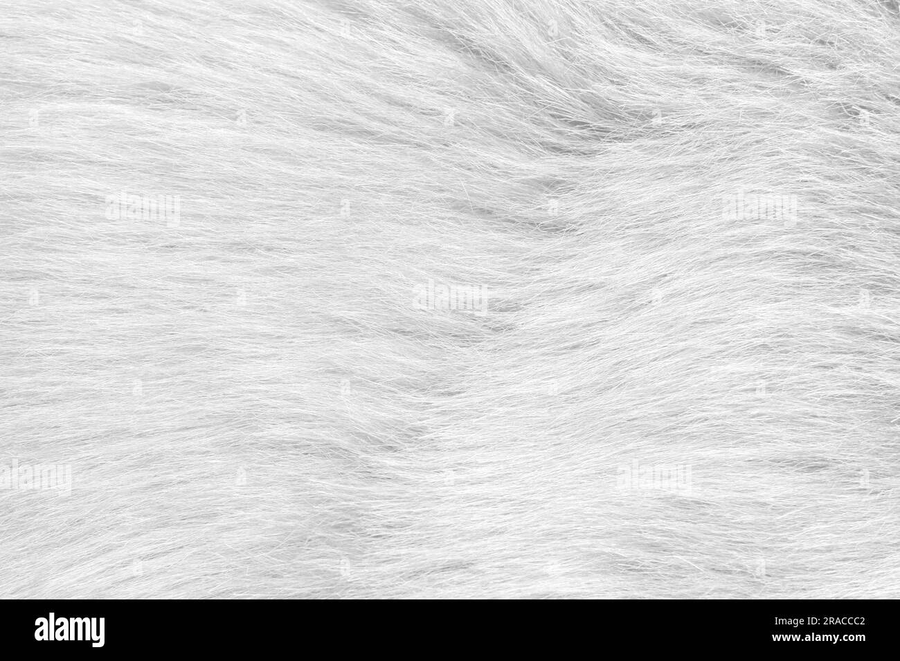 Fake furry carpet hi-res stock photography and images - Alamy