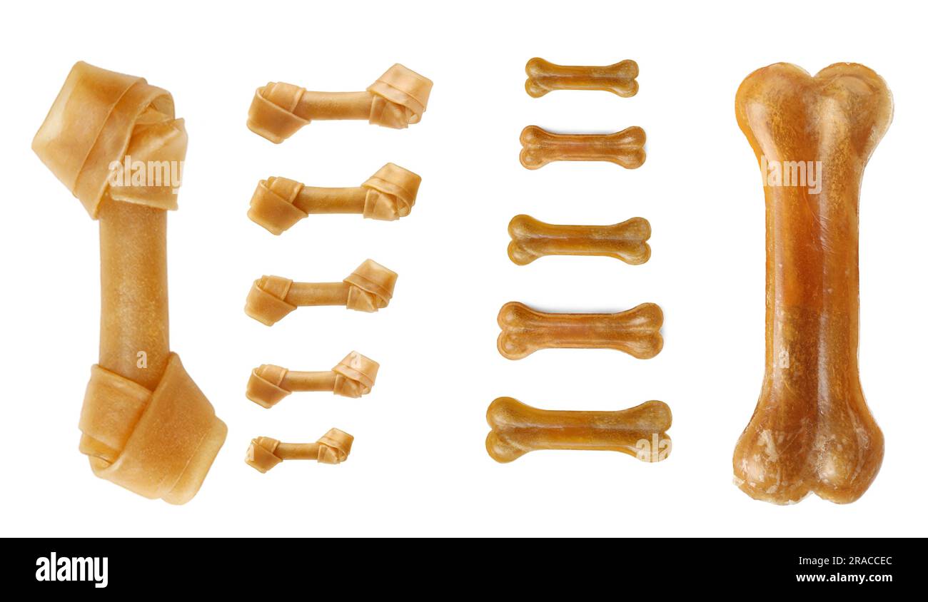 Set with different bone dog treats on white background Stock Photo - Alamy