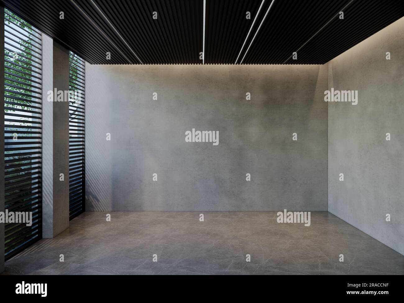 Modern empty room interior design contemporary, with natural tones on ...