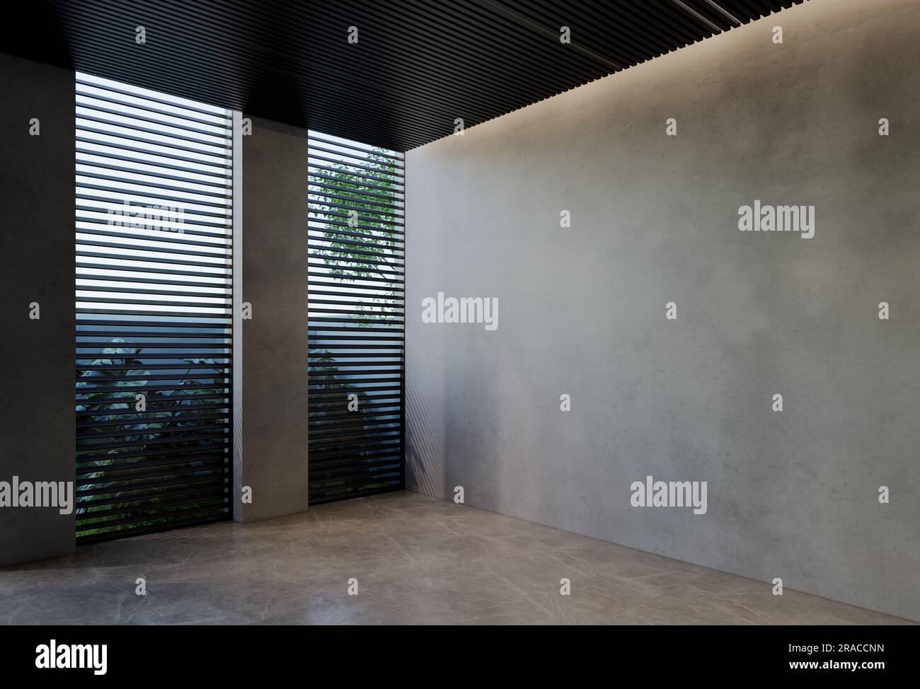 Modern empty room interior design contemporary, with natural tones on ...