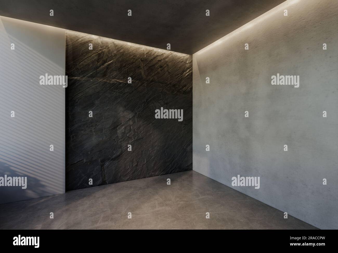 Modern empty room interior design contemporary, with natural tones on ...