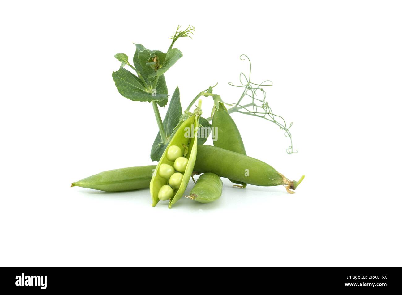 Fresh sweet peas pods with green leaves isolated on a white background ...