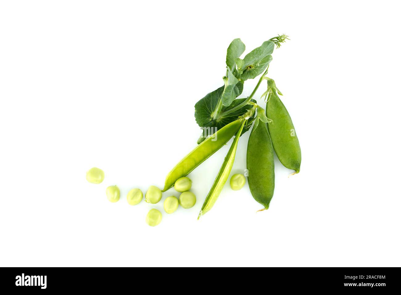 Petite peas hi-res stock photography and images - Alamy