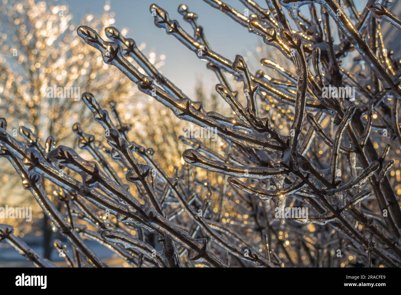 The Morning After a Winter Storm Stock Photo - Alamy