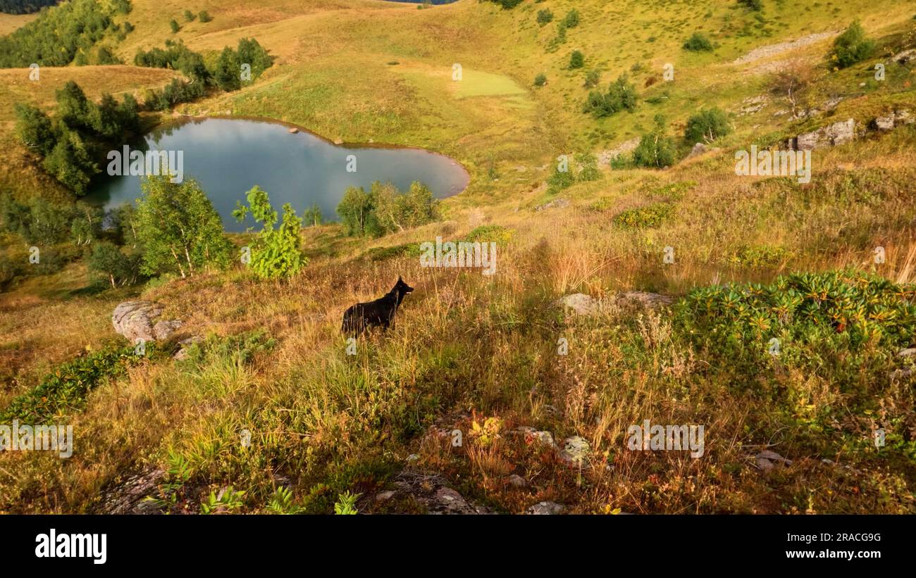high mountain lough with shape of heart, lough of love in Arkhyz ...