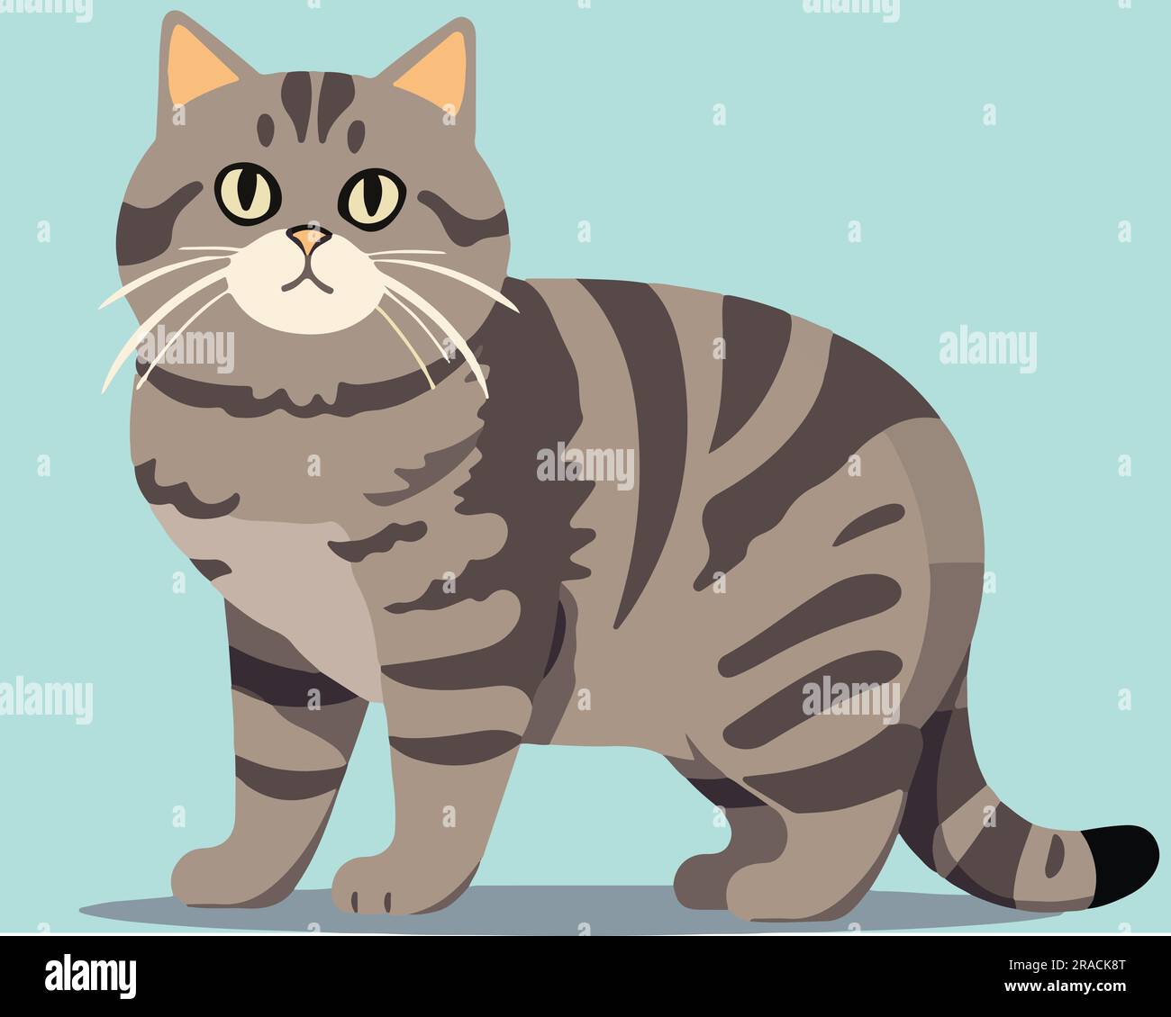 An Standing Cat Flat Vector Illustration Stock Vector Image And Art Alamy