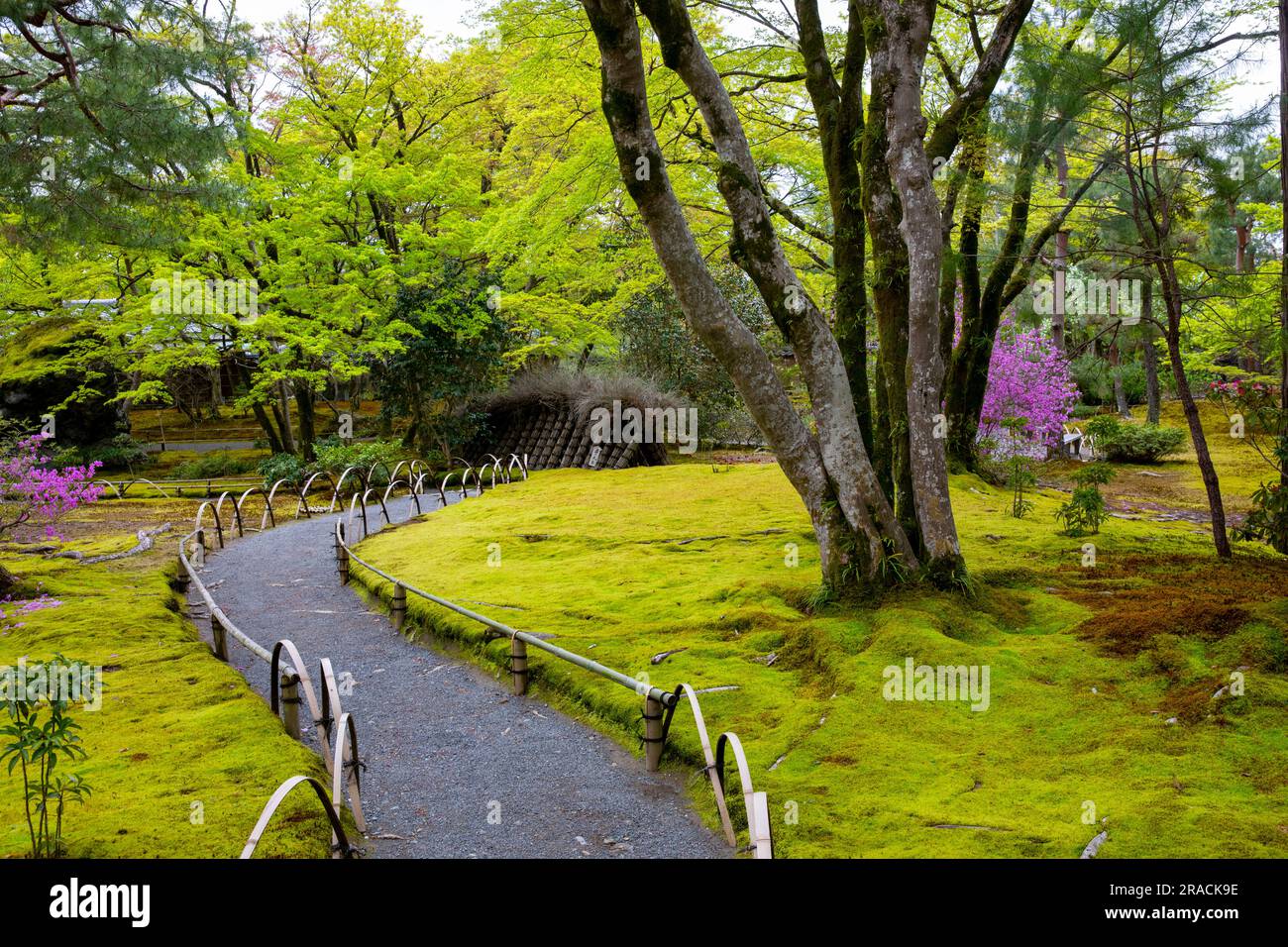 Kyoto 2023, Hogon-in temple zen garden, Arashiyama,Kyoto in spring 2023 ...