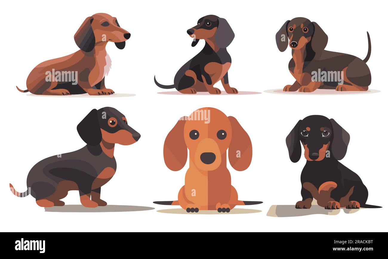 Flat vector pets dog Cut Out Stock Images & Pictures - Alamy