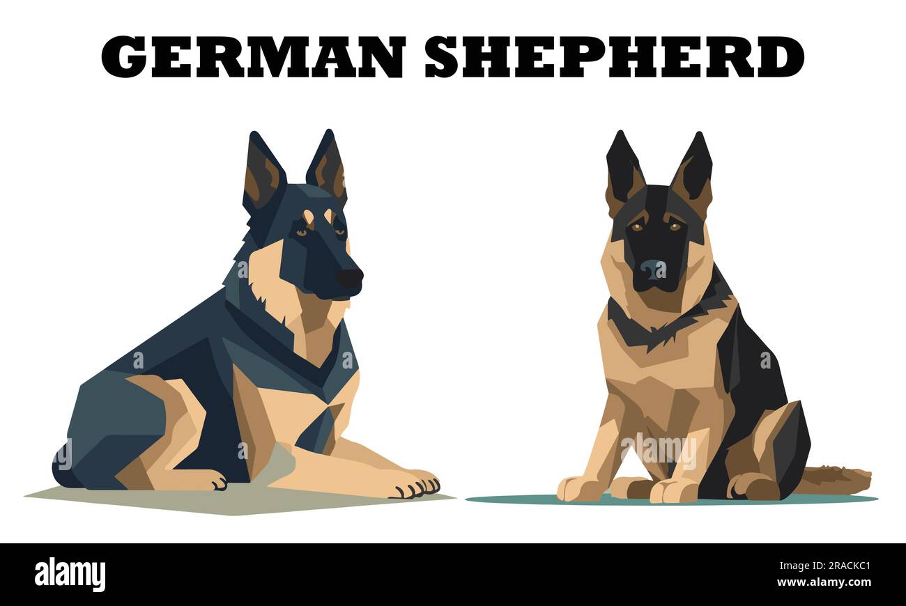 A set of Flat German Shepherd Vector illustration Stock Vector Image & Art - Alamy