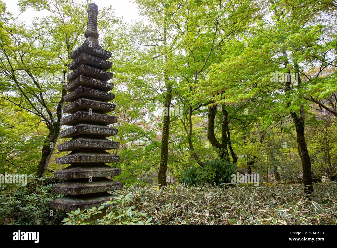Kyoto 2023, Hogon-in temple zen garden, Arashiyama,Kyoto in spring 2023 ...