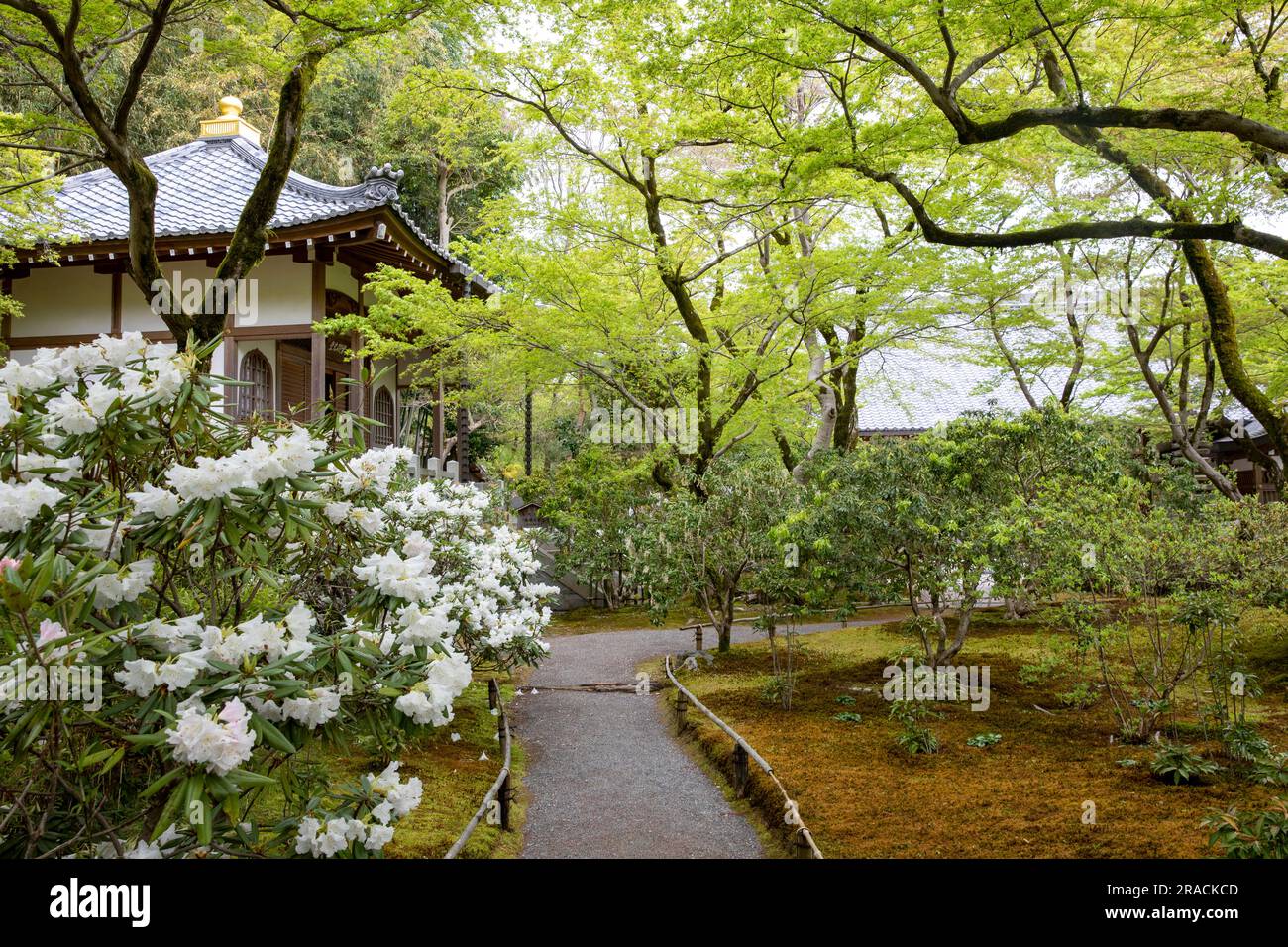 2023 Hall of Boundless Light is a columbarium where the ashes of ...