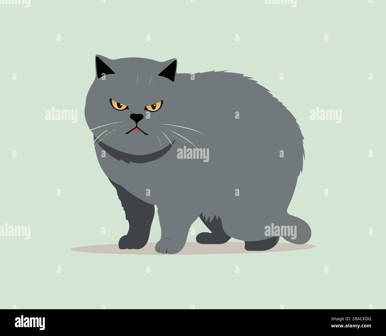 Cat vector of british cat hi-res stock photography and images - Alamy