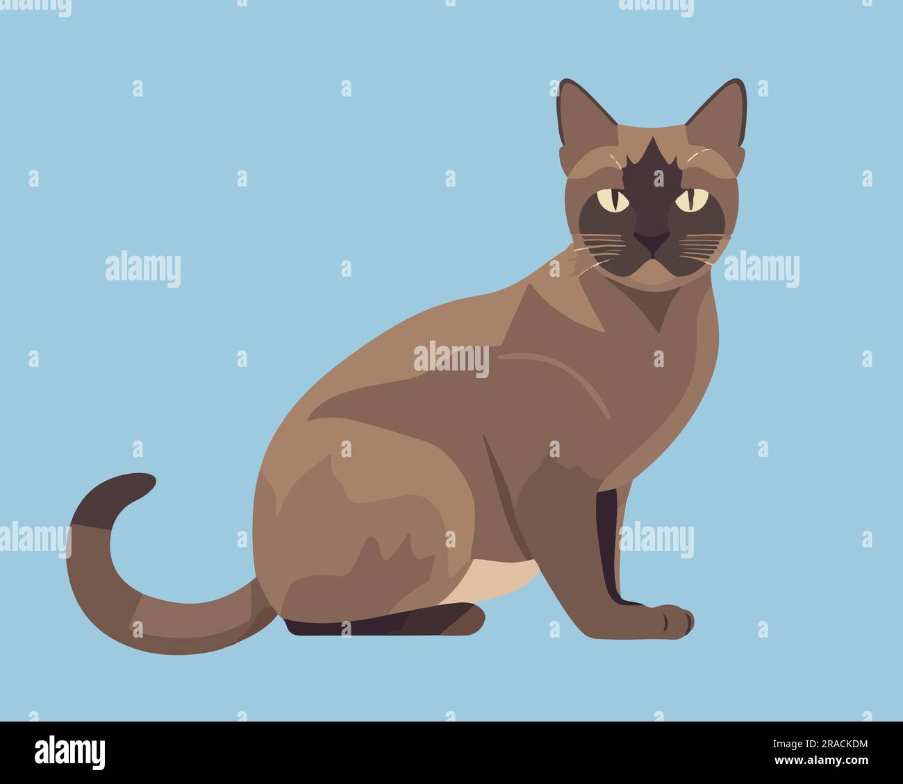 Cat kitten sleep in Stock Vector Images - Alamy