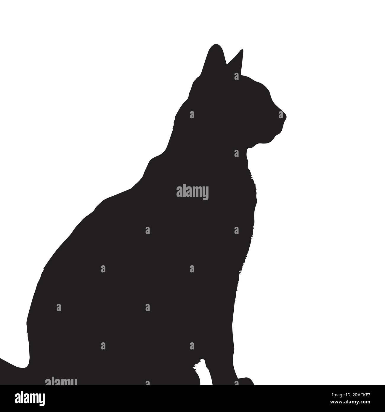 Silhouette Cat vector illustration Stock Vector Image & Art - Alamy