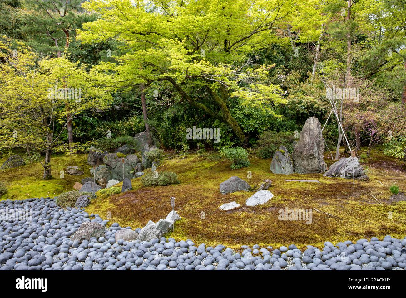 Human suffering buddha hi-res stock photography and images - Alamy