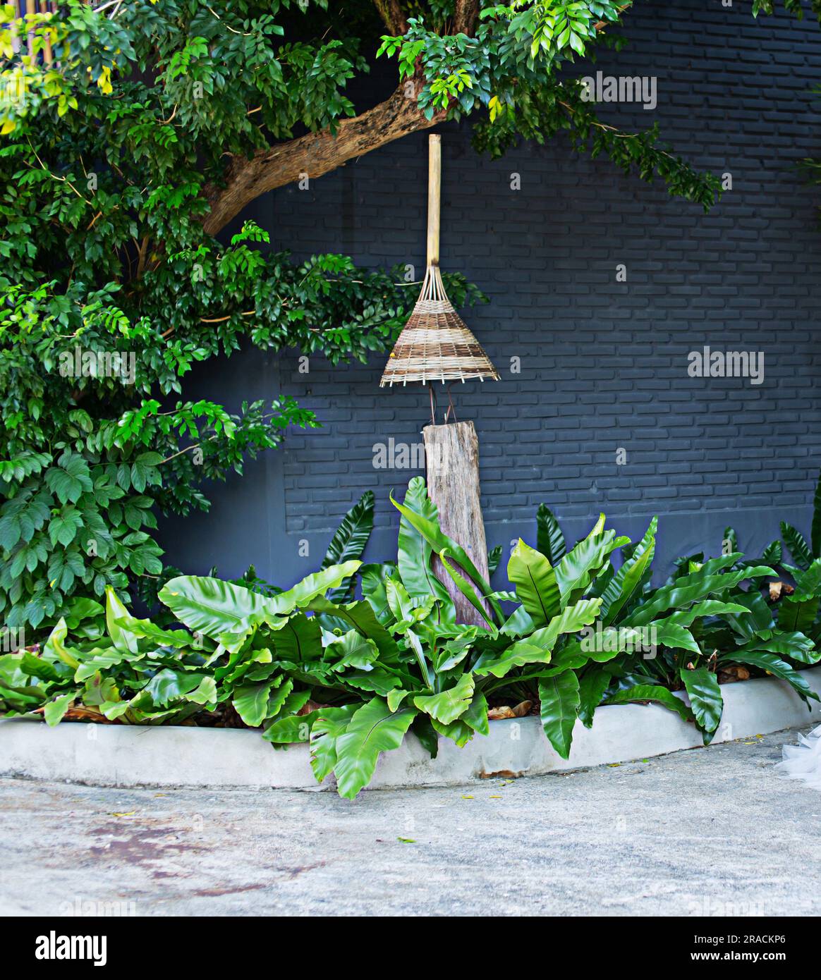 landscaping, planting trees outdoors, green tones, leaf types Stock ...