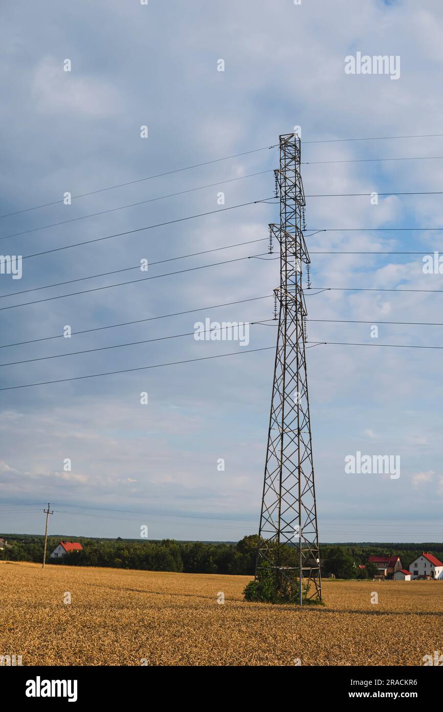 Single power pylon with electricity wires in the field Stock Photo - Alamy
