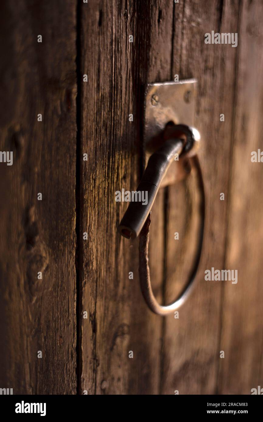 Simple ring hi-res stock photography and images - Alamy