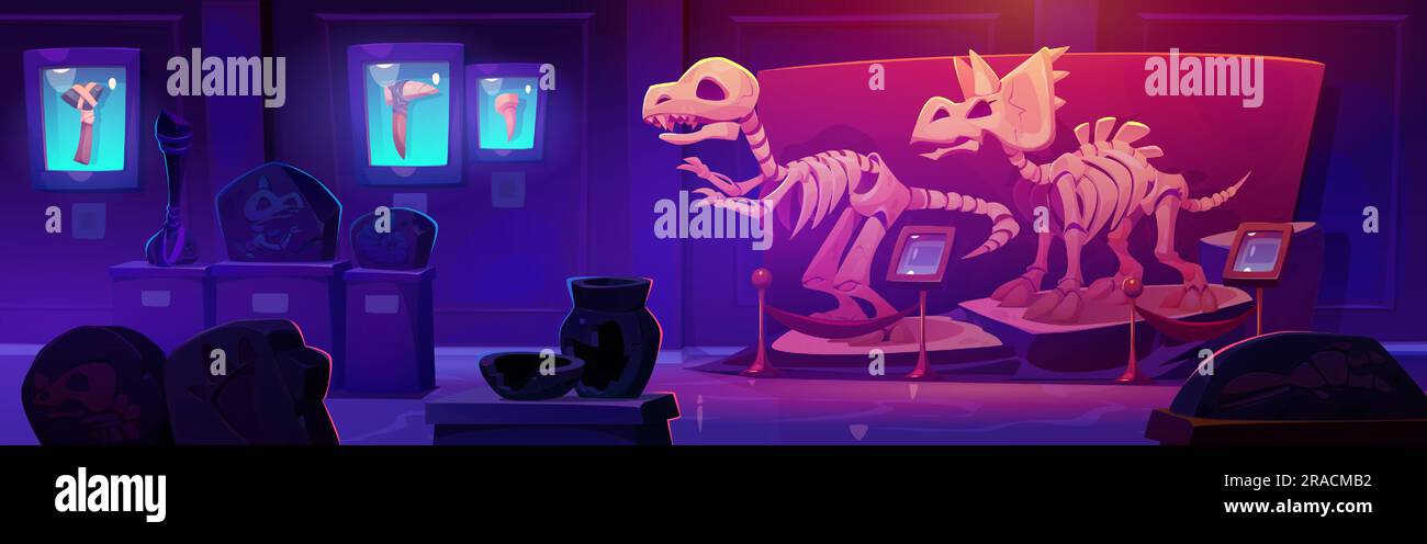 Fossil dinosaur skeleton in night history museum cartoon illustration ...