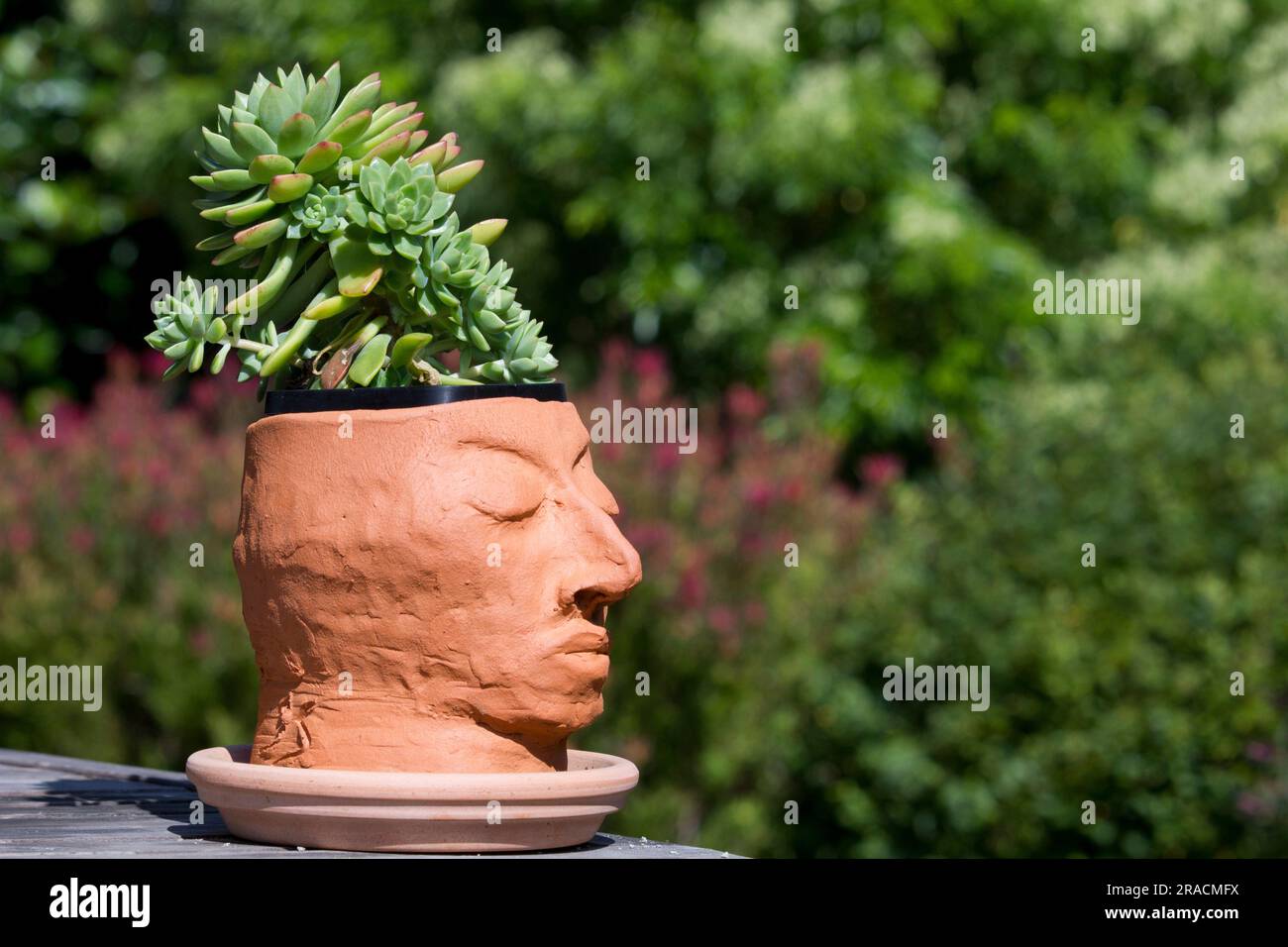 Terracotta face flower pot hi-res stock photography and images - Alamy