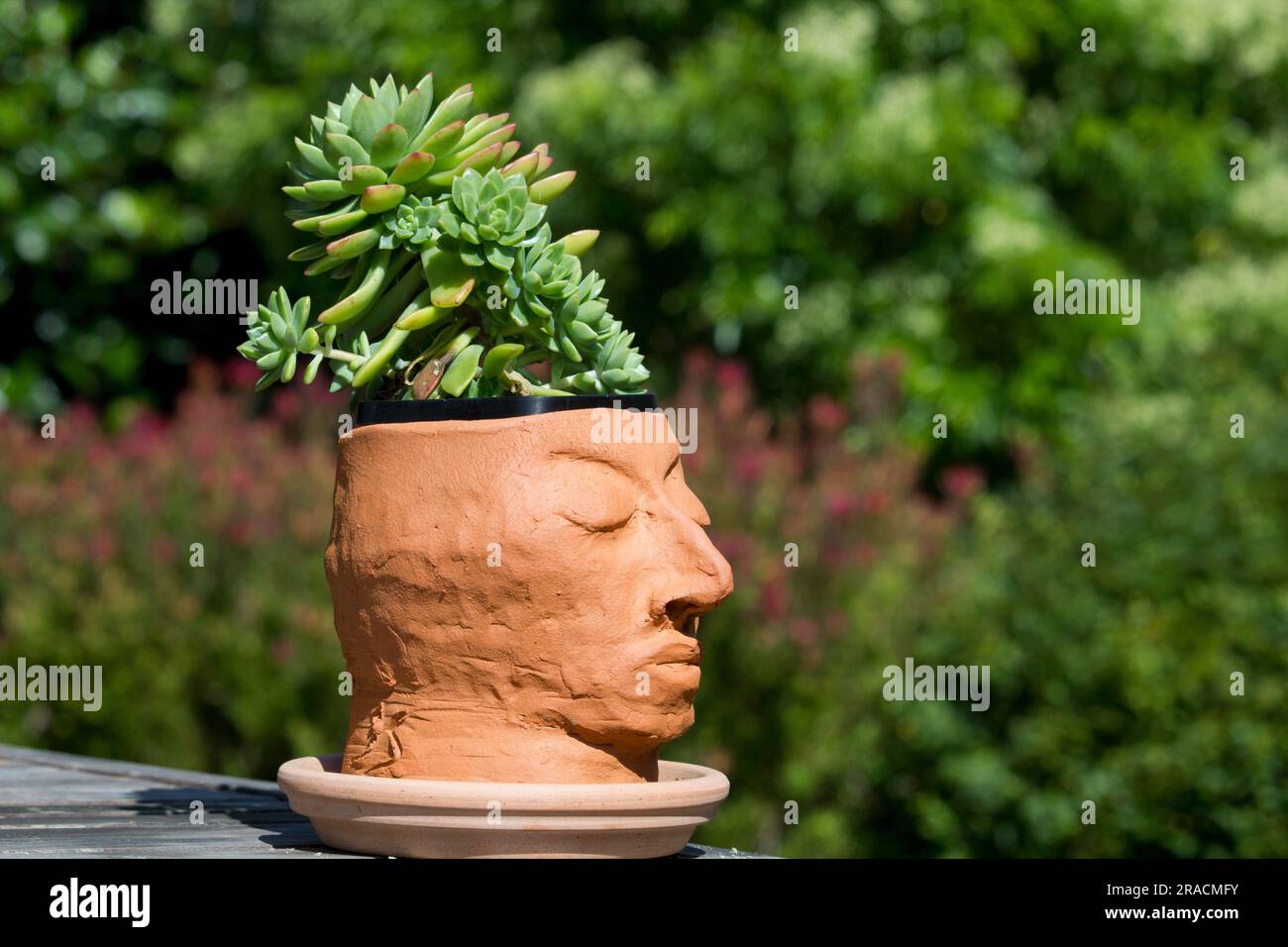 Shape of mans head hi-res stock photography and images - Alamy
