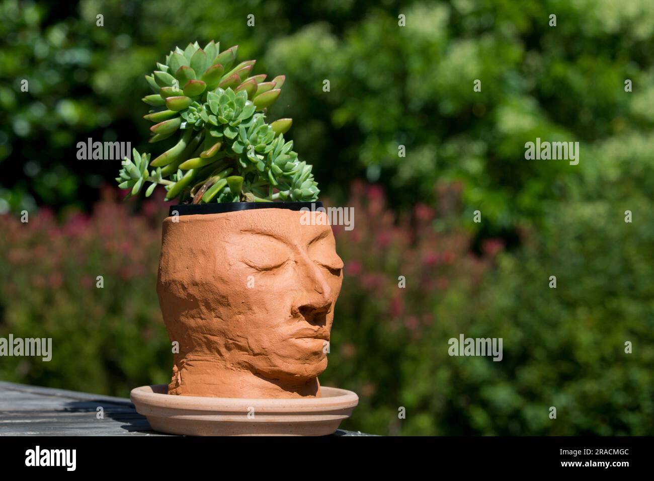 Pothead hi-res stock photography and images - Alamy