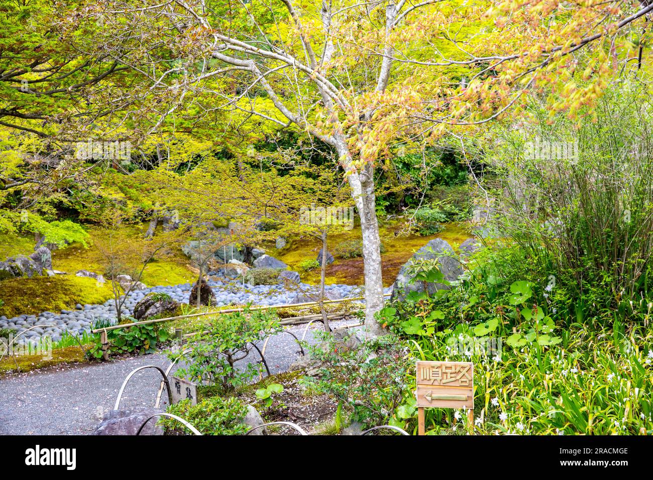 2023 Hogon-in sub temple zen garden, dry pond representing the sea of ...