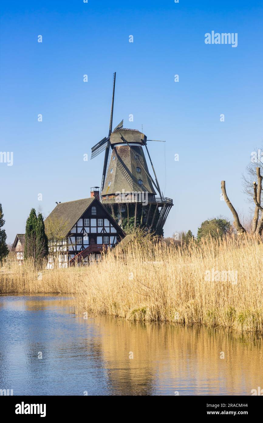 Historic windmill and half-timbered house in Gifhorn, Germany Stock ...