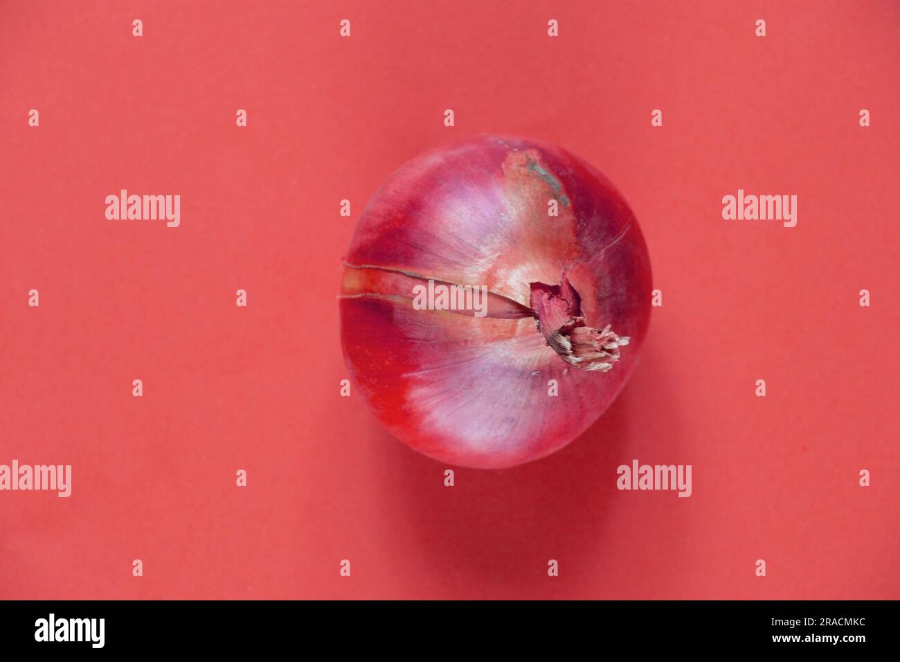 one onion on a pink background in pink tones close up Stock Photo - Alamy