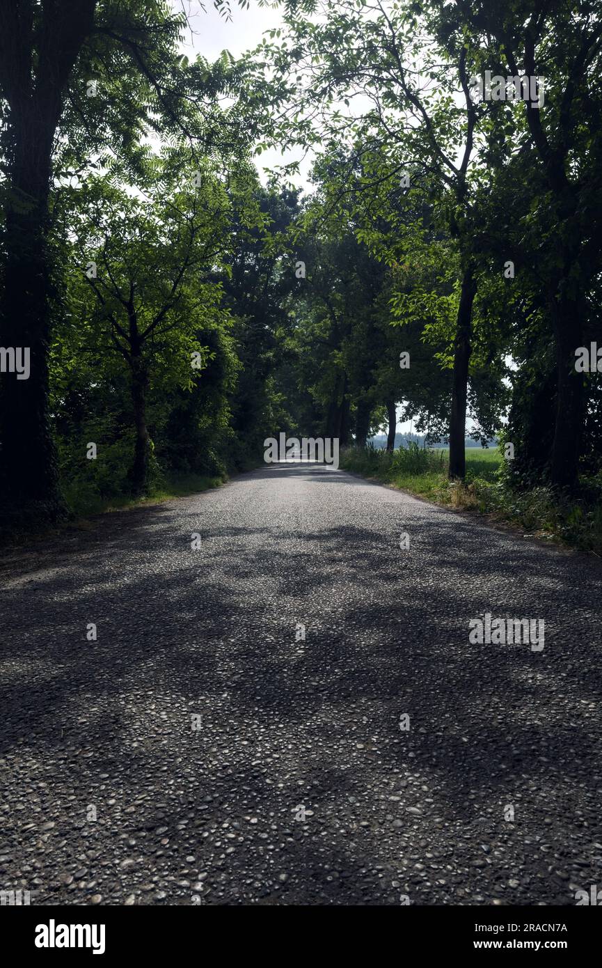 The narrow road to heaven hi-res stock photography and images - Alamy