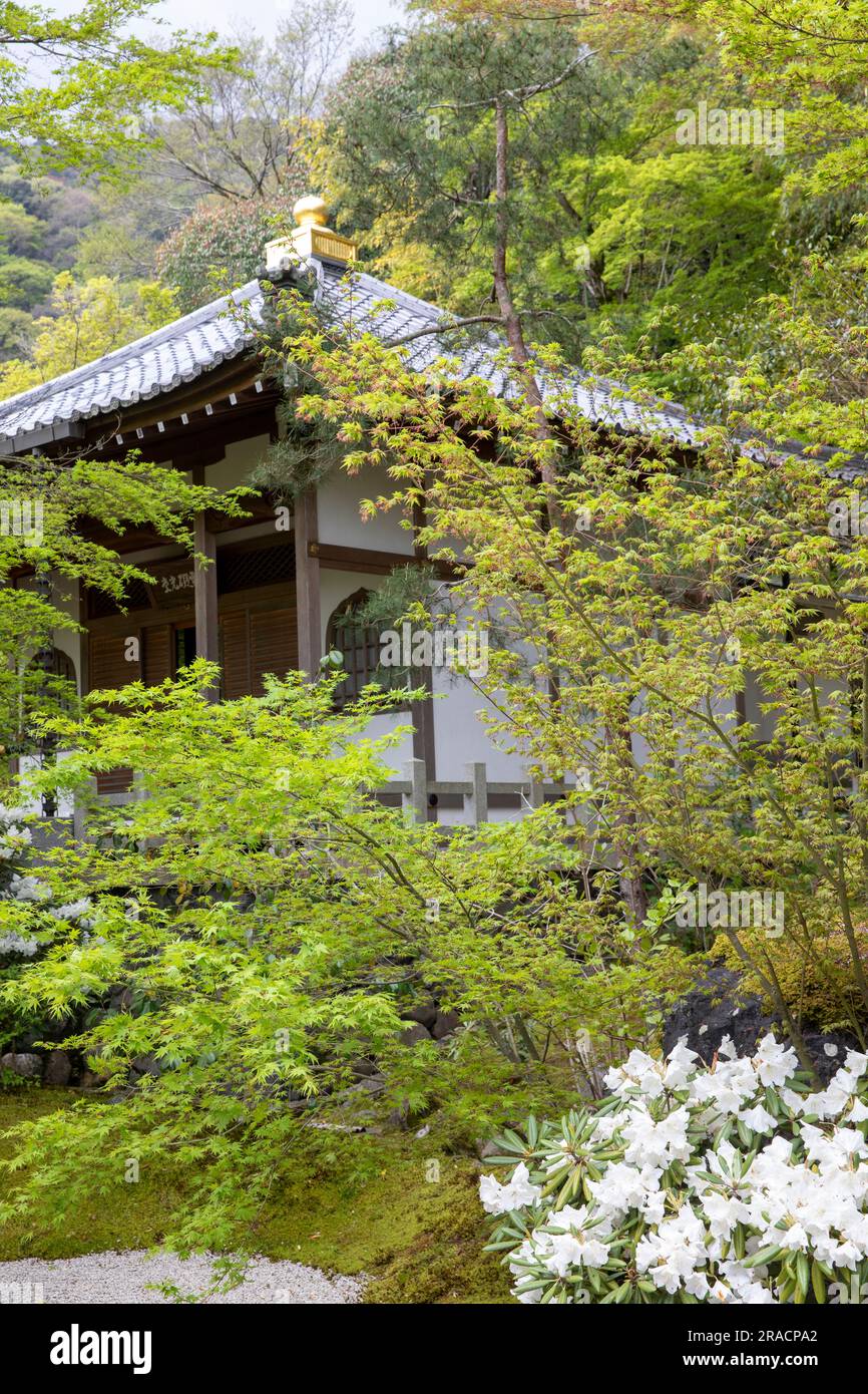 2023 Hall of Boundless Light is a columbarium where the ashes of ...