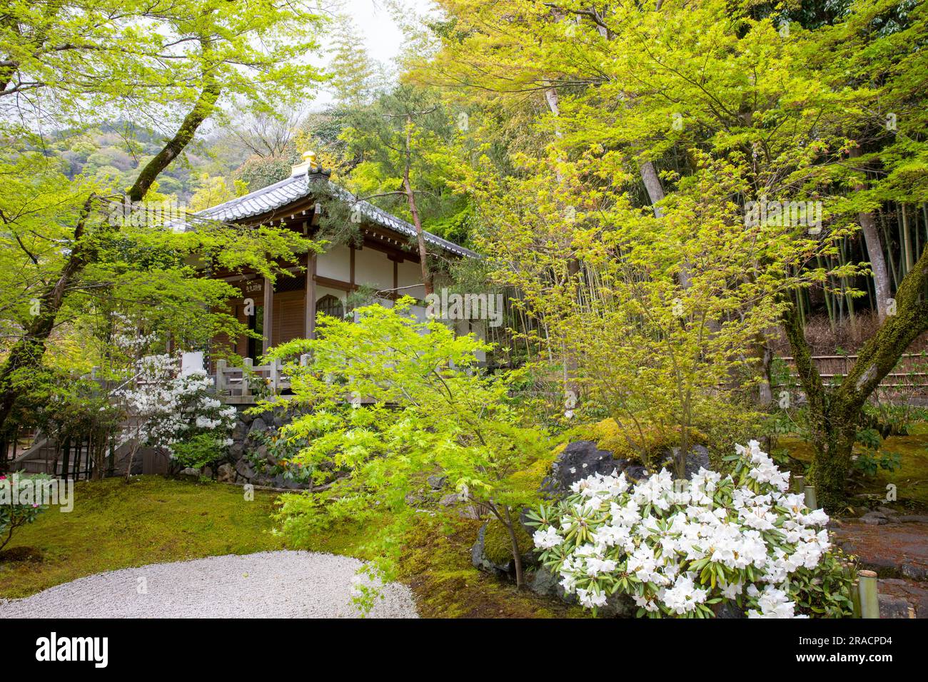 2023 Hall of Boundless Light is a columbarium where the ashes of ...