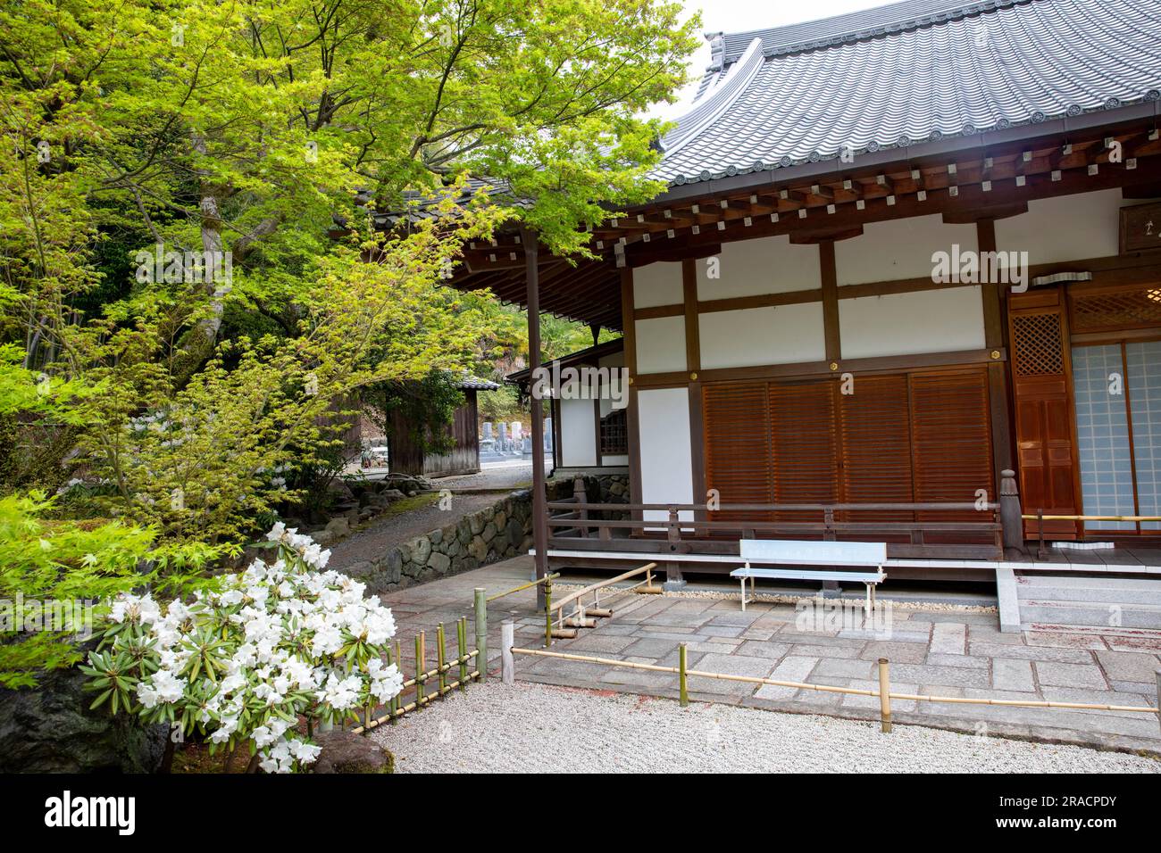 2023 Hall of Boundless Light is a columbarium where the ashes of ...