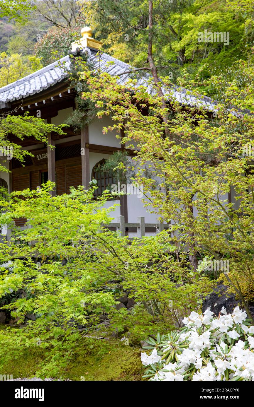 2023 Hall of Boundless Light is a columbarium where the ashes of ...