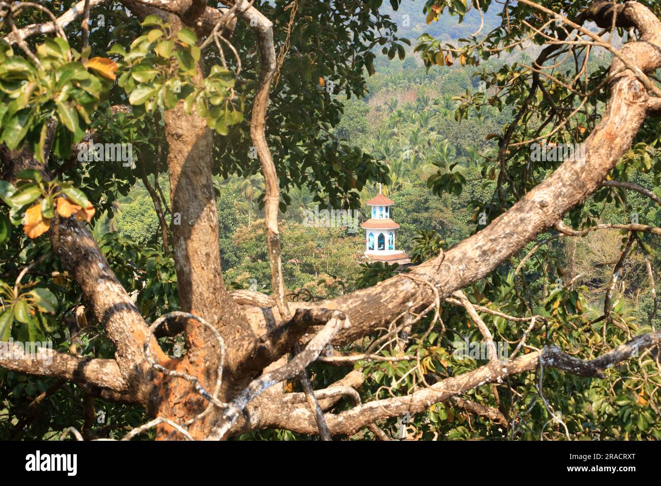 View to the area around the at peruvannamuzhi (peruvannamoozhi) dam ...