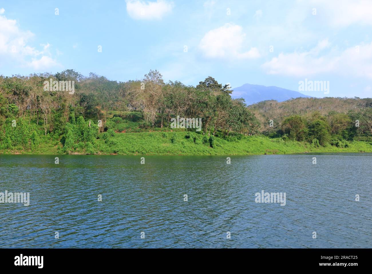 the lake in front of the at peruvannamuzhi (peruvannamoozhi) dam ...