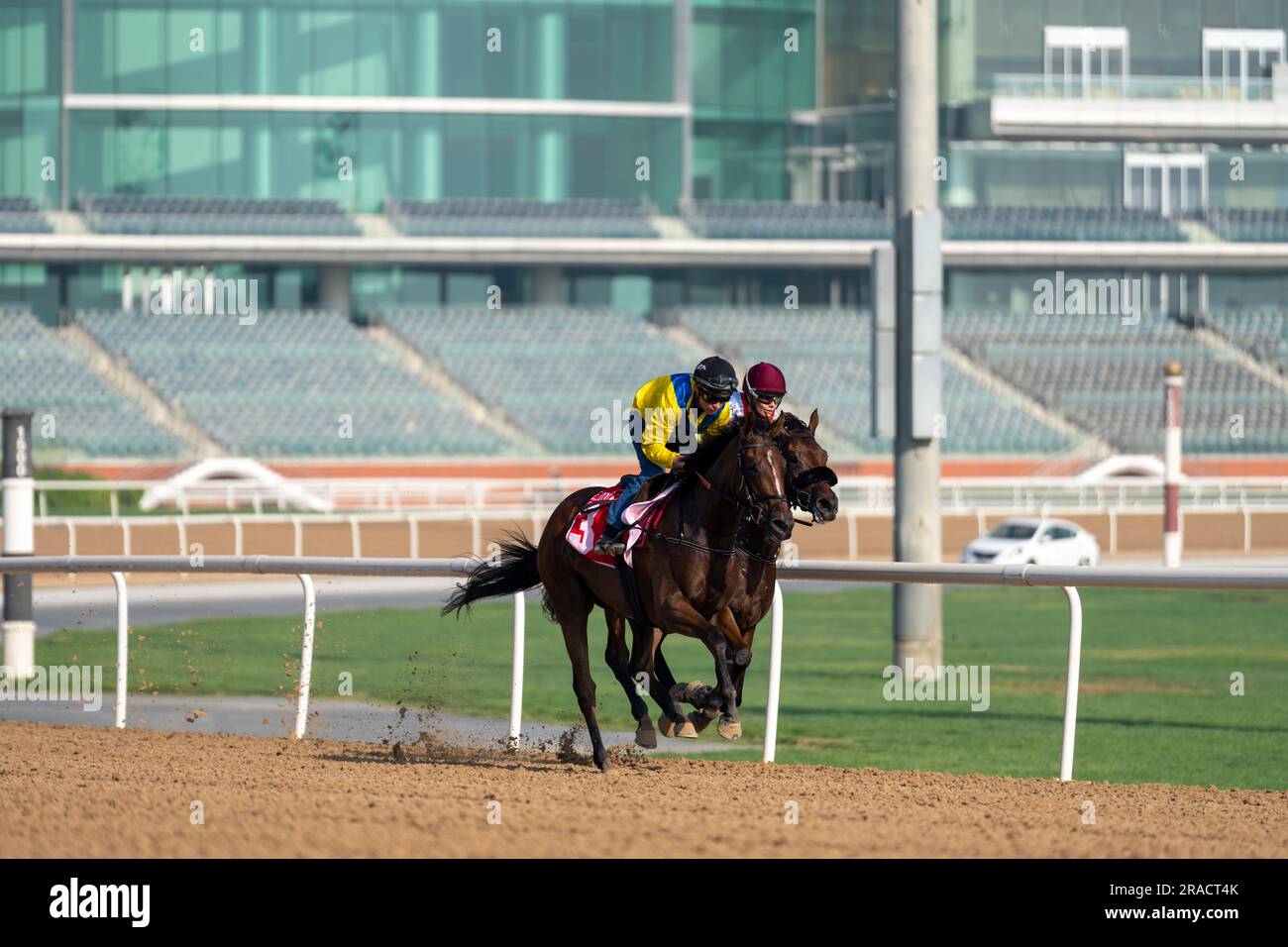Horses in training at dirt track horseracing Stock Photo - Alamy
